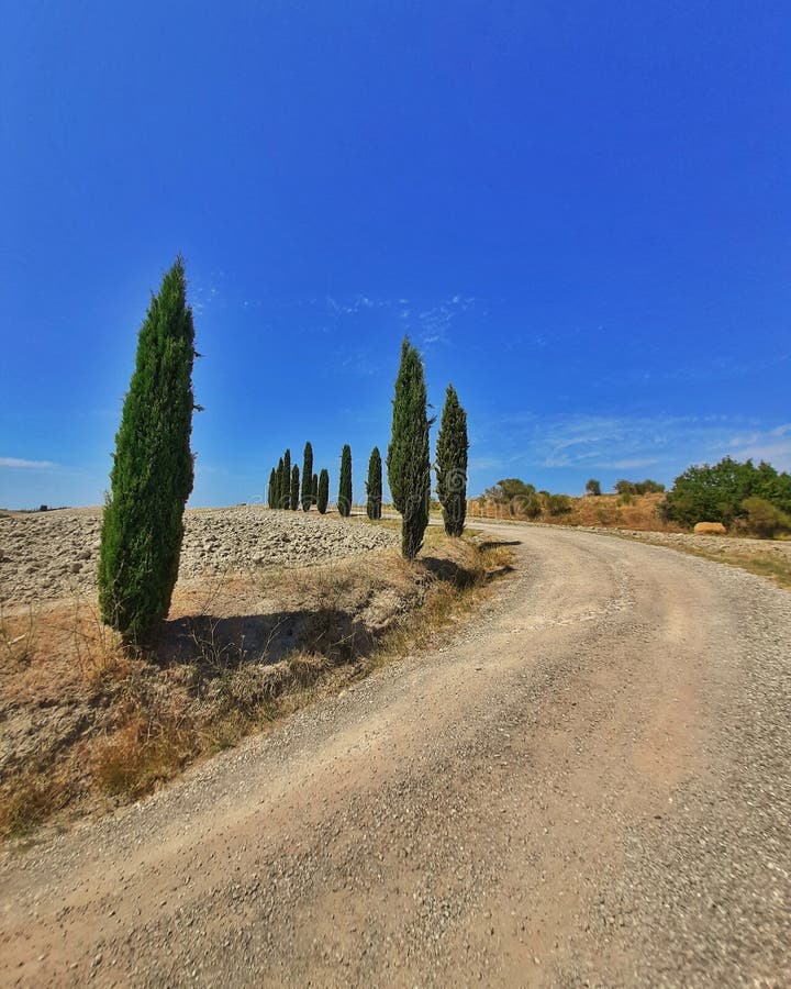 Under the tuscan sun stock image. Image of tuscany, tuscan - 163655897
