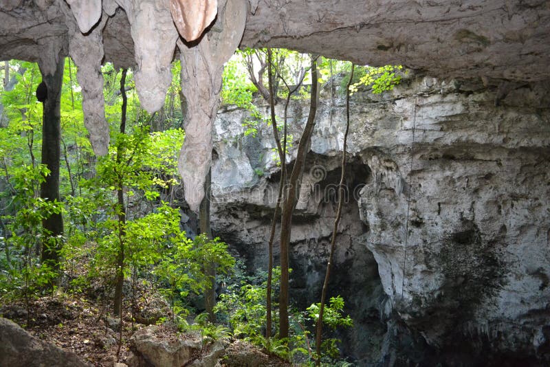 Of Underground Cave with an Oasis Stock Image - Image of bloom, park ...