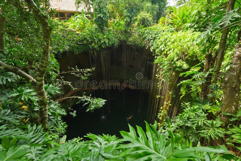 Underground Pool Ik-Kil Cenote Near Chichen Itza Stock Image - Image of ...