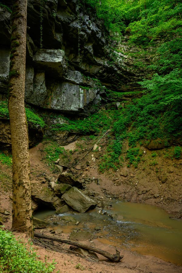 An Underground River Emerges in Mammoth Cave Stock Image - Image of ...