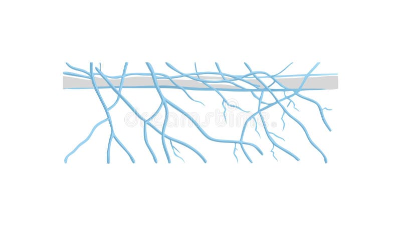 Underground Root Network Abstract Vector, Vector Design Generative AI ...