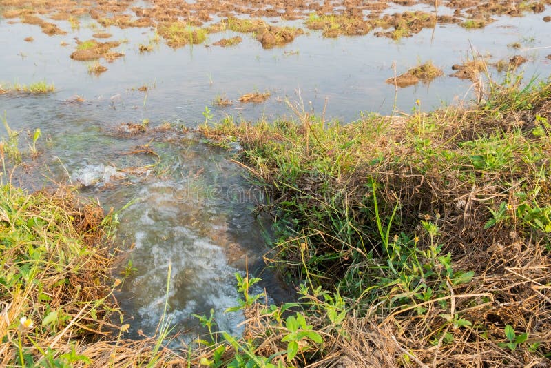 Underground Water Flow in To Plantation Stock Image - Image of country ...