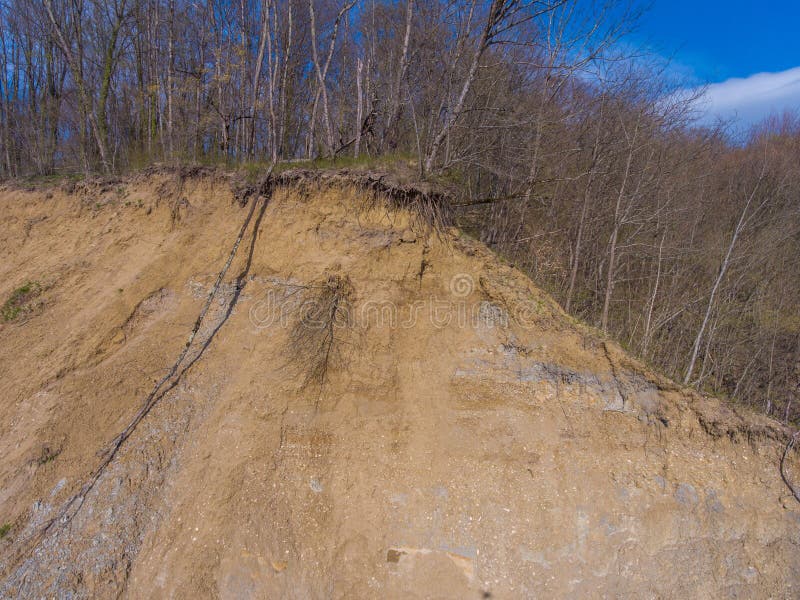 Undermining the Clay of the River Bank with Exposed Roots of Tree Stock ...