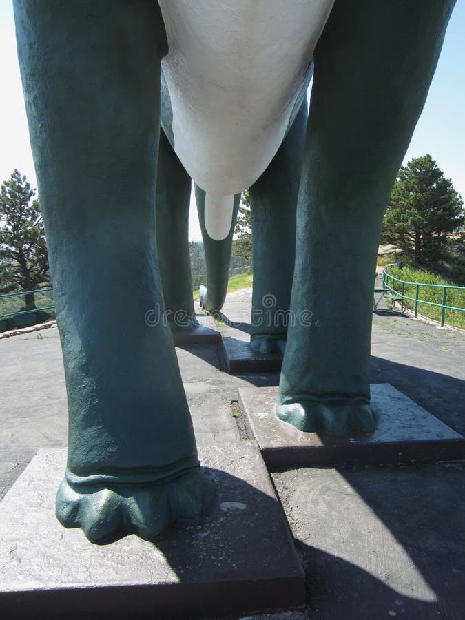 Underneath a Brontosaurus Dinosaur Editorial Stock Image - Image of ...