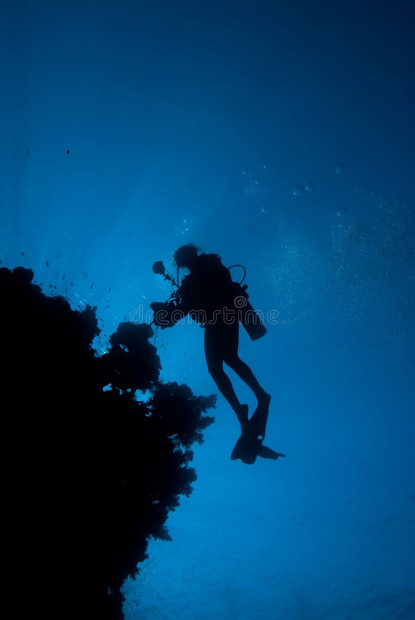 Underneath View of an Underwater Photographer Stock Photo - Image of ...
