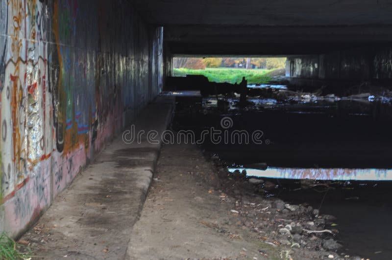 Underpass Under the Bridge Next To the Stream of the River Stock Image ...