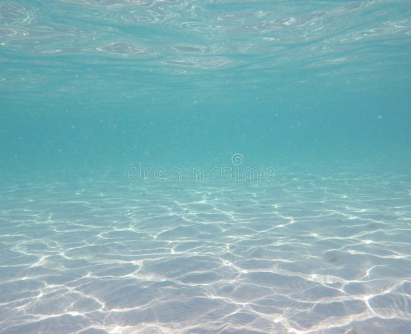 Undersea stock photo. Image of diving, nature, underwater - 25974974