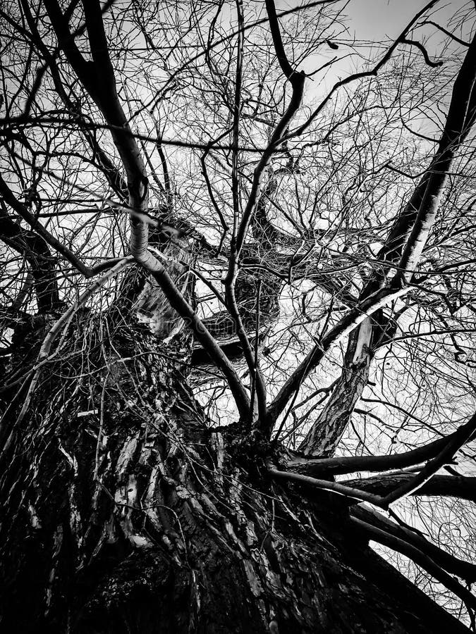 128 Undershot Photos - Free & Royalty-Free Stock Photos from Dreamstime