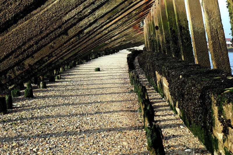 628 Timber Breakwater Beach Stock Photos - Free & Royalty-Free Stock ...