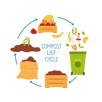 Understanding the Compost Life Cycle through Visual Representation and ...