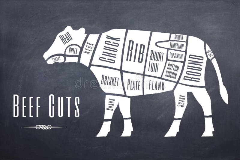 Understanding the Different Parts and Cuts of Beef Stock Image - Image ...