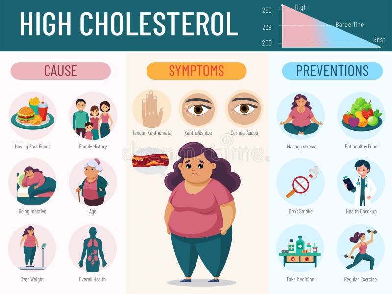 Understanding High Cholesterol, an Informative Infographic Stock Vector ...
