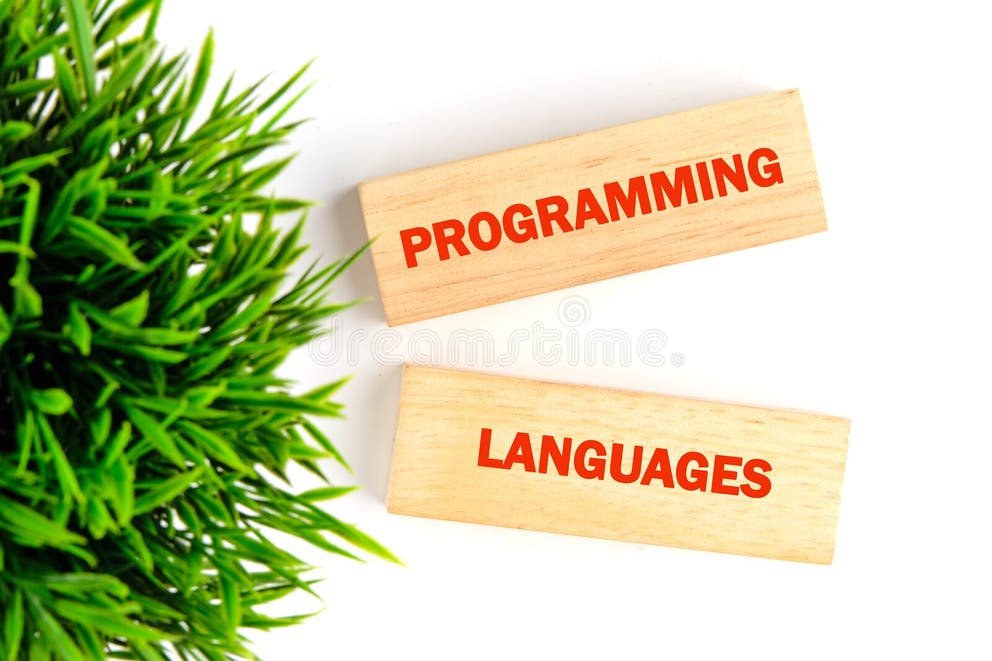 Understanding Programming Languages through Blocks and Greenery for a ...