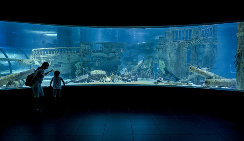 Underwater Aquarium Observation Room Stock Image - Image of young, girl ...