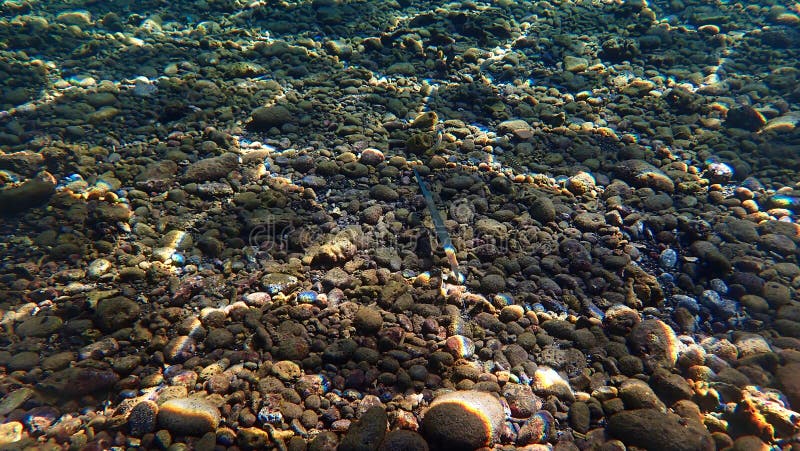 Underwater Photo - Abstract Backgrounds - Stone Bottom in the Different ...