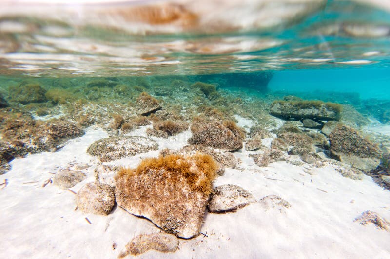 Underwater Backdrop with White Sand and Rocks. Clear Turquoise Sea of ...