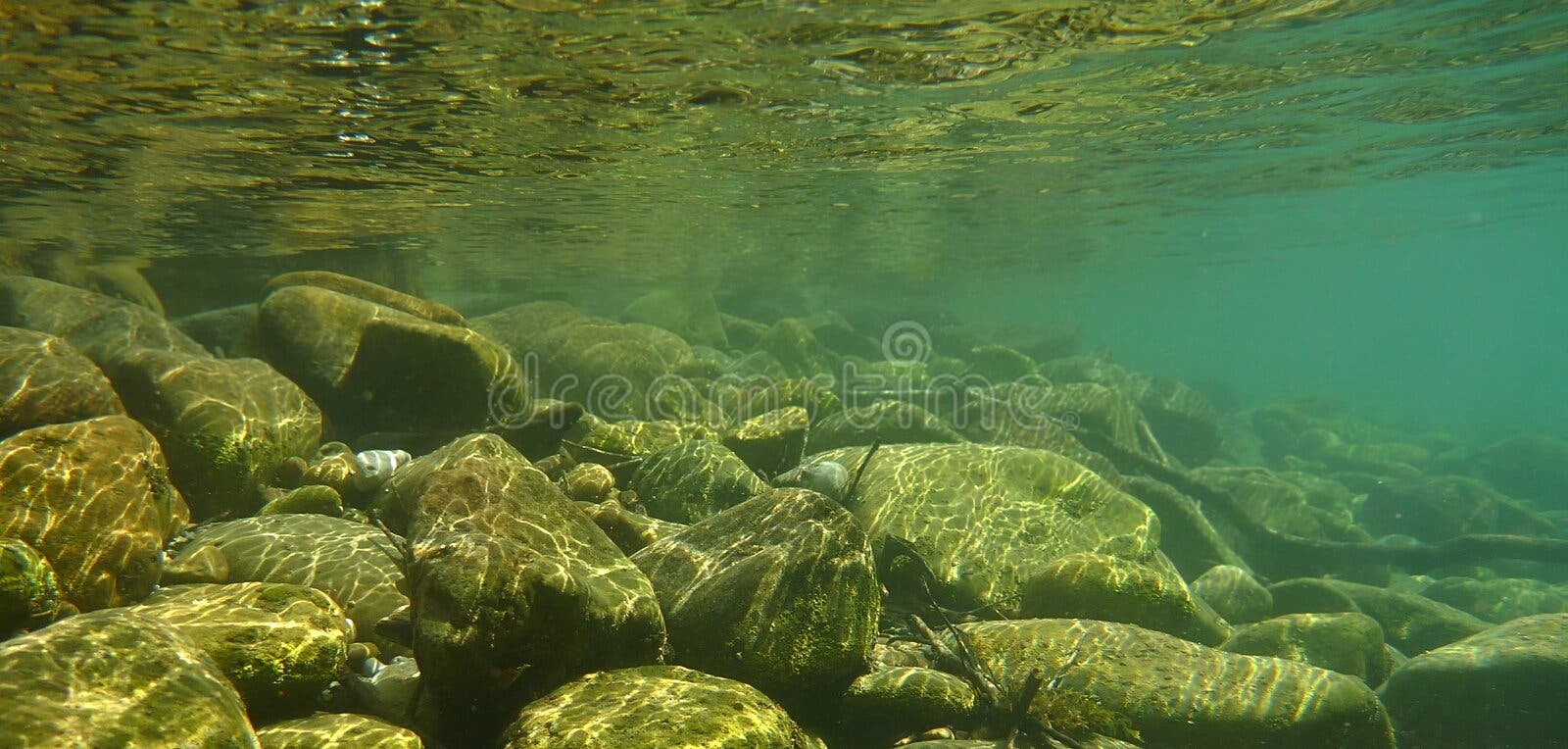 Rocks Underwater on Riverbed with Clear Freshwater Stock Photo - Image ...
