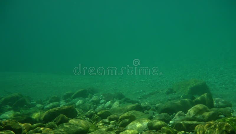 Underwater River Wallpaper