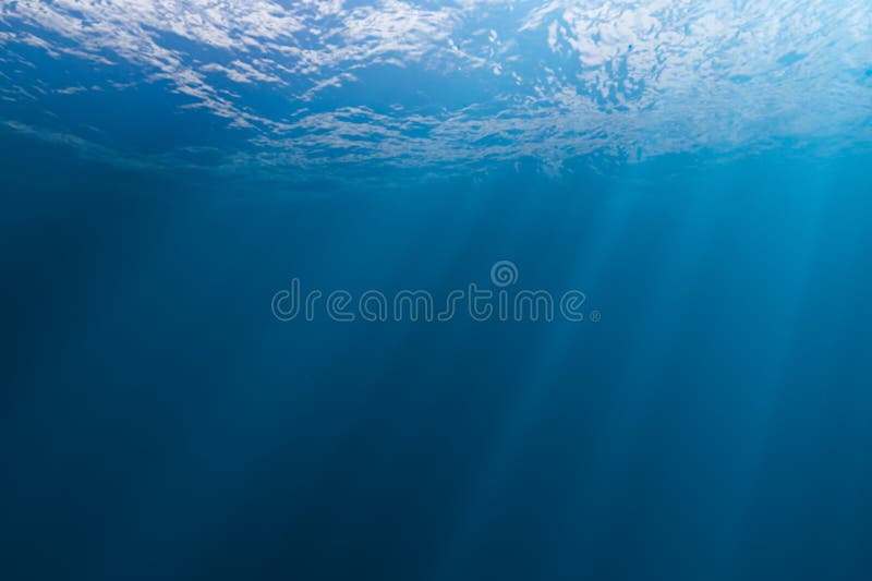 Underwater Background. Abstract Underwater Backgrounds for Your Design ...