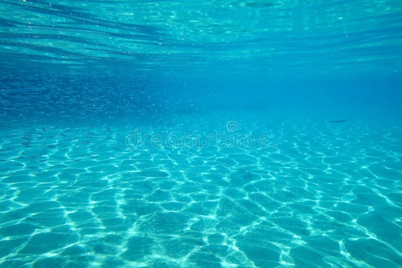 Underwater background stock photo. Image of environment - 239466804
