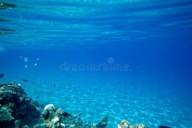 Underwater background stock photo. Image of diving, clean - 240499880