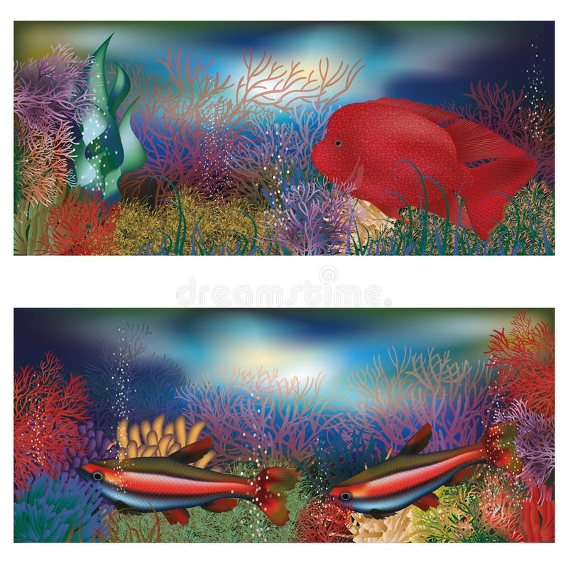 Underwater Banners with Red Tropic Fish Stock Vector - Illustration of ...