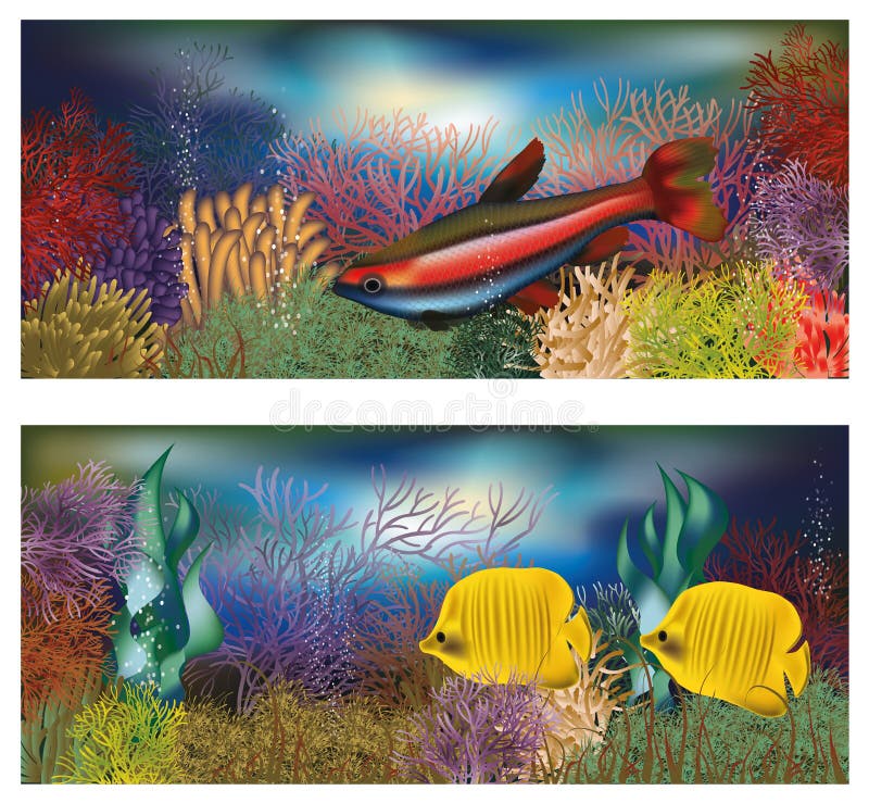 Underwater Banners with Tropical Fish Stock Vector - Illustration of ...