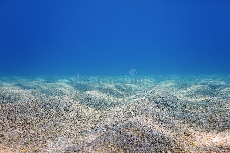 Underwater Blue Ocean, Sandy Sea Bottom Underwater Background Stock ...