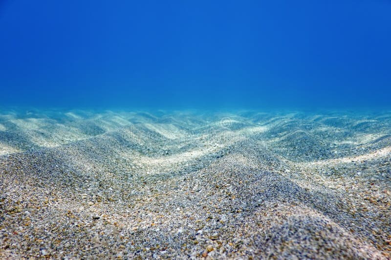 Underwater Blue Ocean, Sandy Sea Bottom Underwater Background Stock ...