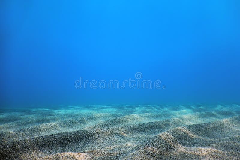 Underwater Blue Ocean, Sandy Sea Bottom Underwater Background Stock ...