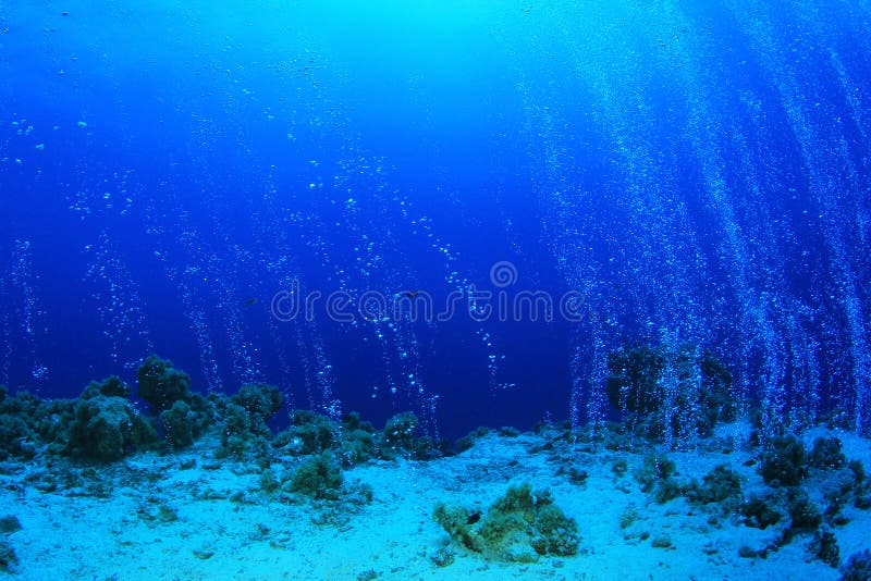 Underwater Bubbles stock photo. Image of underwater, sunlight - 39152806