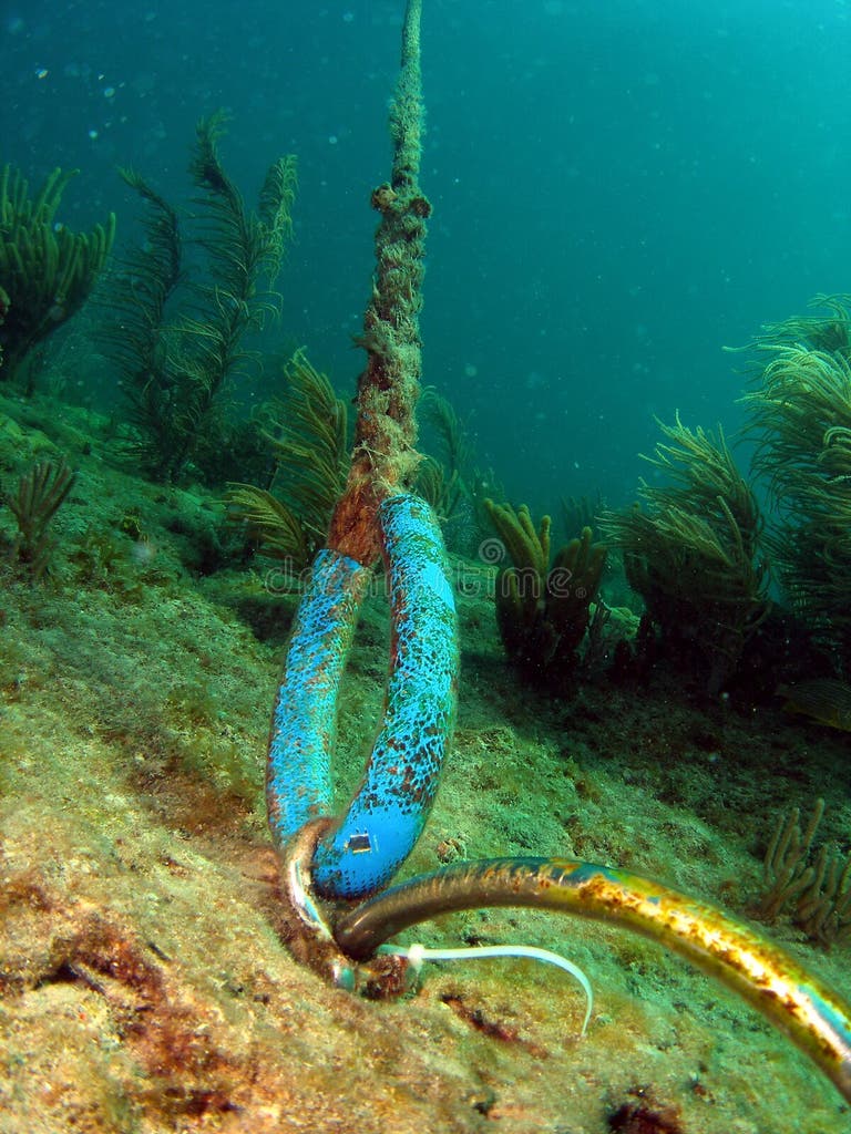 521 Deep Sea Cable Stock Photos - Free & Royalty-Free Stock Photos from ...