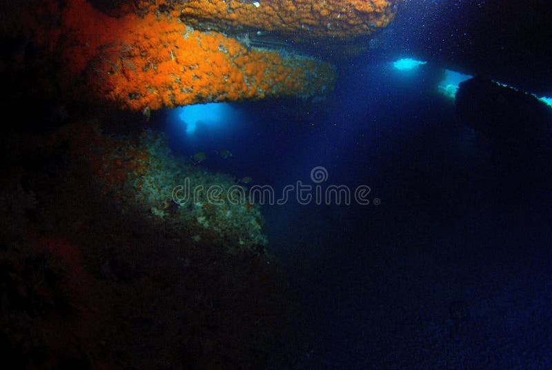 Underwater cave entrance stock image. Image of seas, dark - 99940785