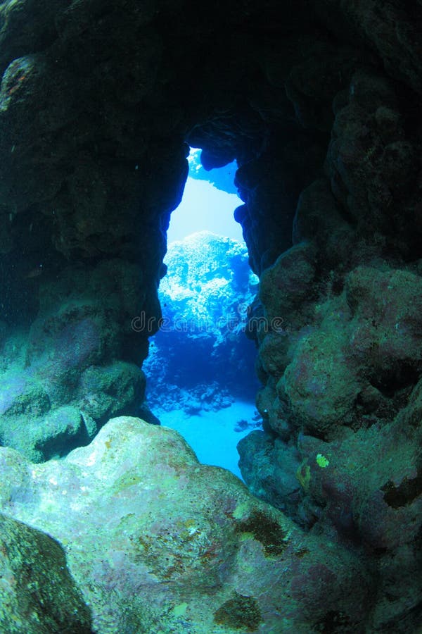 Underwater cave stock image. Image of underwater, colony - 30354437