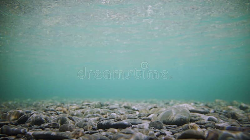 Underwater Clear River Bottom Stock Video - Video of aqua, natural ...