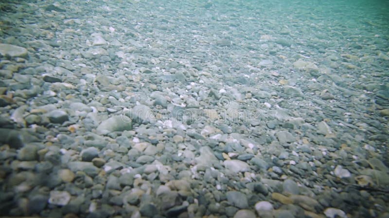 Underwater Clear River Bottom Stock Video - Video of reflection, gaspe ...