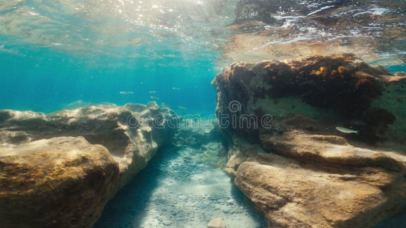 Rocky Seabed Under the Ocean Stock Video - Video of seafloor, water ...