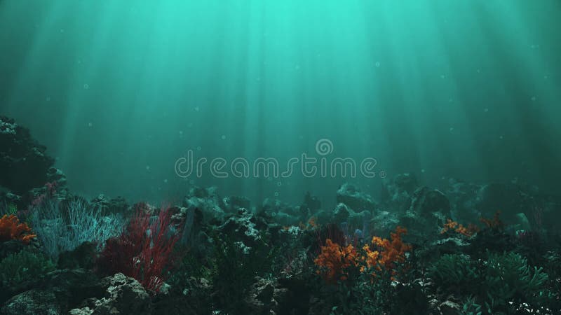 Underwater Coral Reef Landscape - Loop Ocean Background Wallpaper Stock ...
