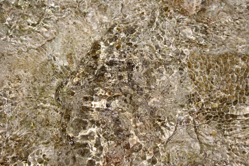 Underwater Coral Rock with Shimmering Water Ripples and Intricate ...