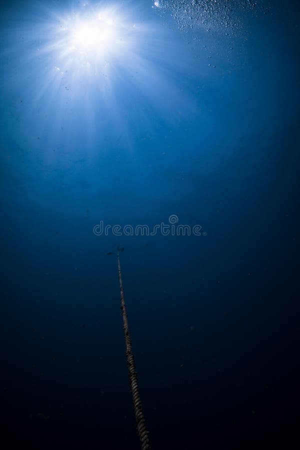 Underwater Environment with Reflection of Sunlight Stock Image - Image ...