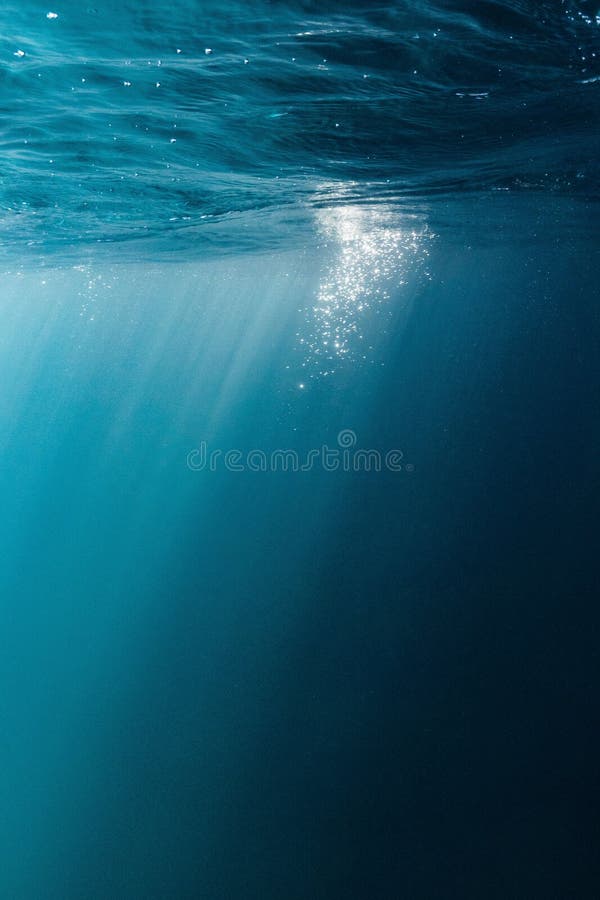 Underwater Environment with Reflection of Sunlight Stock Image - Image ...