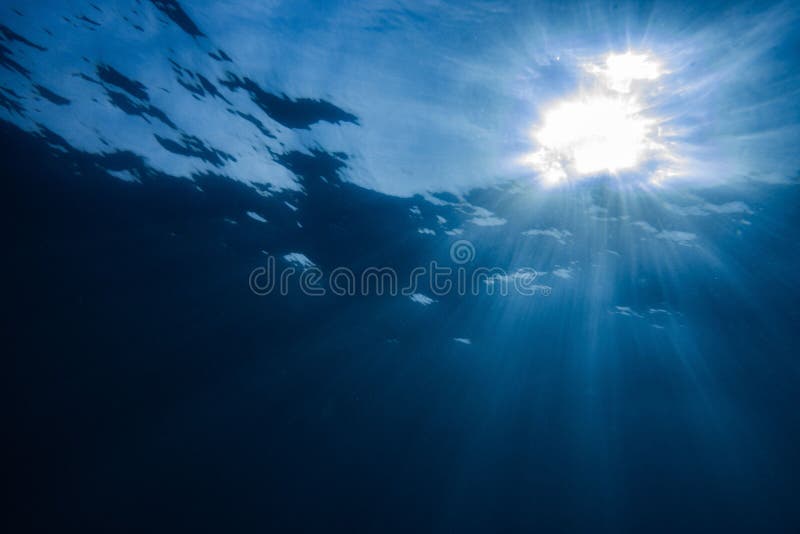 Underwater Environment with Reflection of Sunlight Stock Image - Image ...