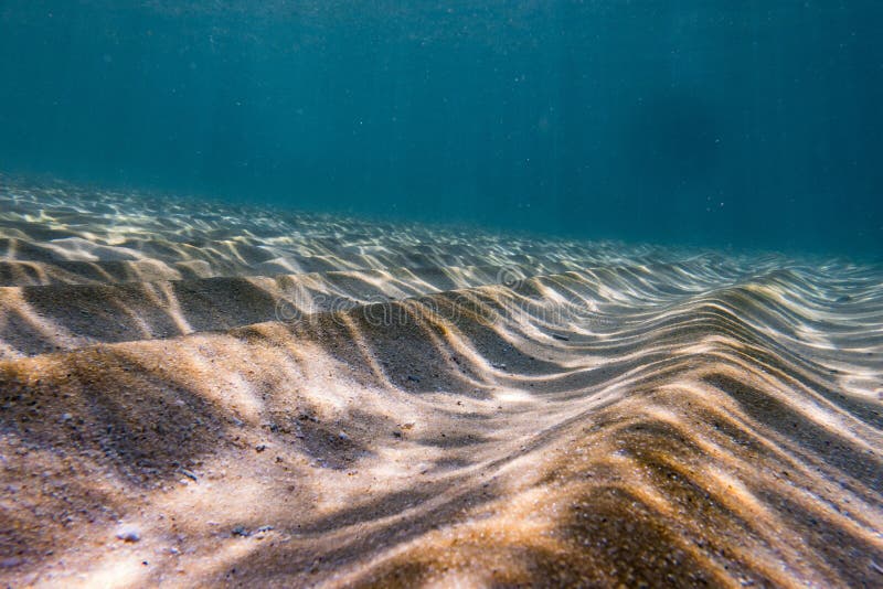 Underwater Environment with Reflection of Sunlight Stock Image - Image ...
