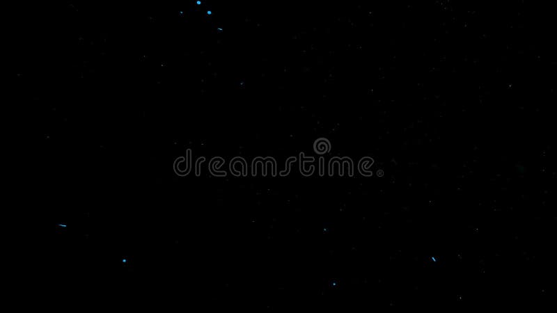 Underwater Floating Particles Isolated on Black Stock Video - Video of ...