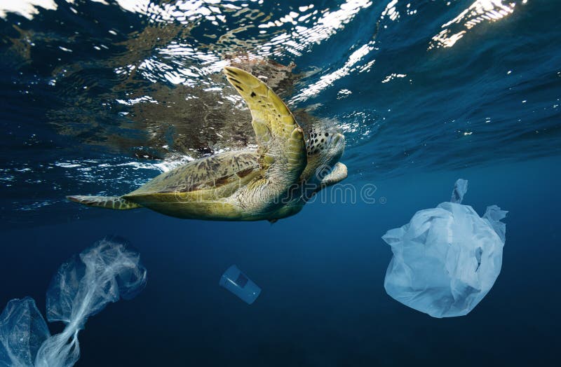 Underwater Global Problem with Plastic Rubbish Stock Image - Image of ...