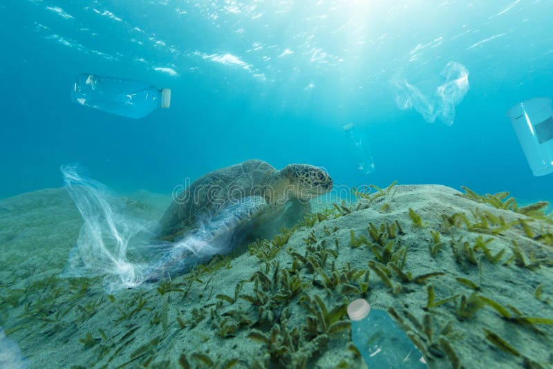 Underwater Global Problem with Plastic Rubbish Stock Image - Image of ...