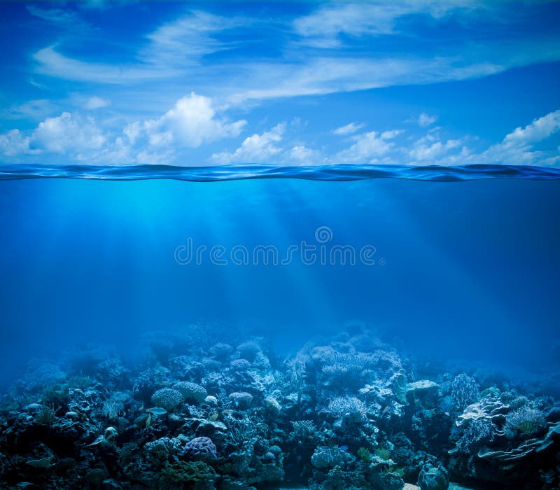 Water Surface From Below