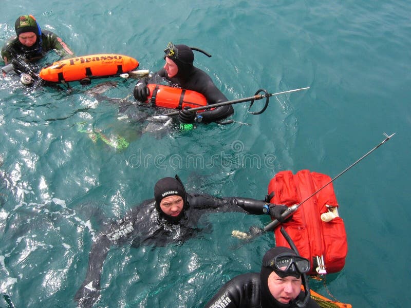 Underwater Coral Reef with Fishes Stock Image - Image of underwater ...
