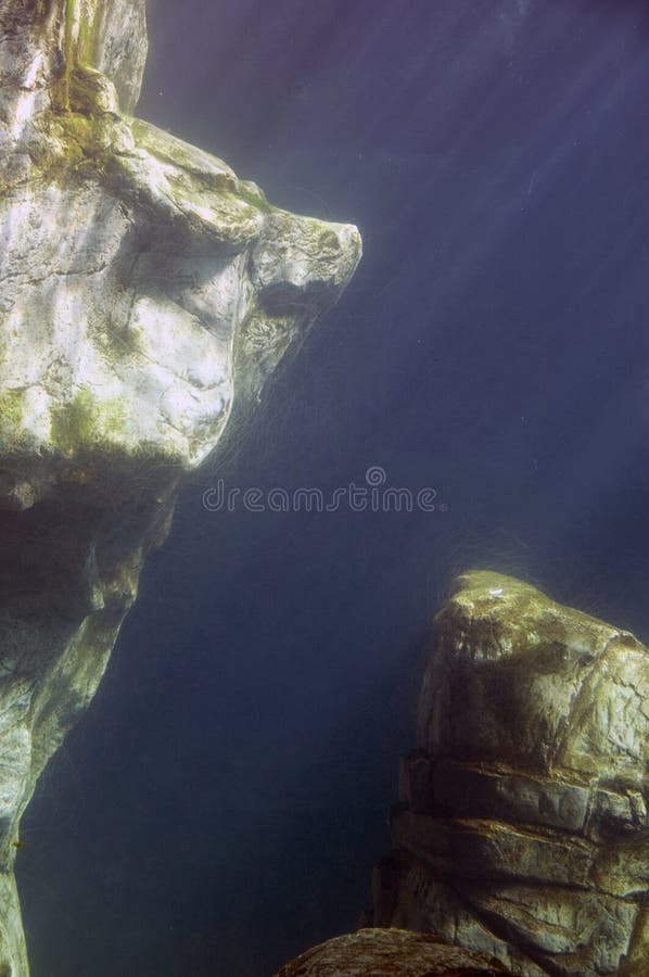 Underwater landscape stock photo. Image of reef, biology - 12055956