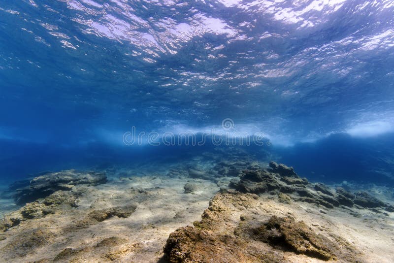 Underwater Ocean Landscape Free Vibrant Underwater Landscape Image